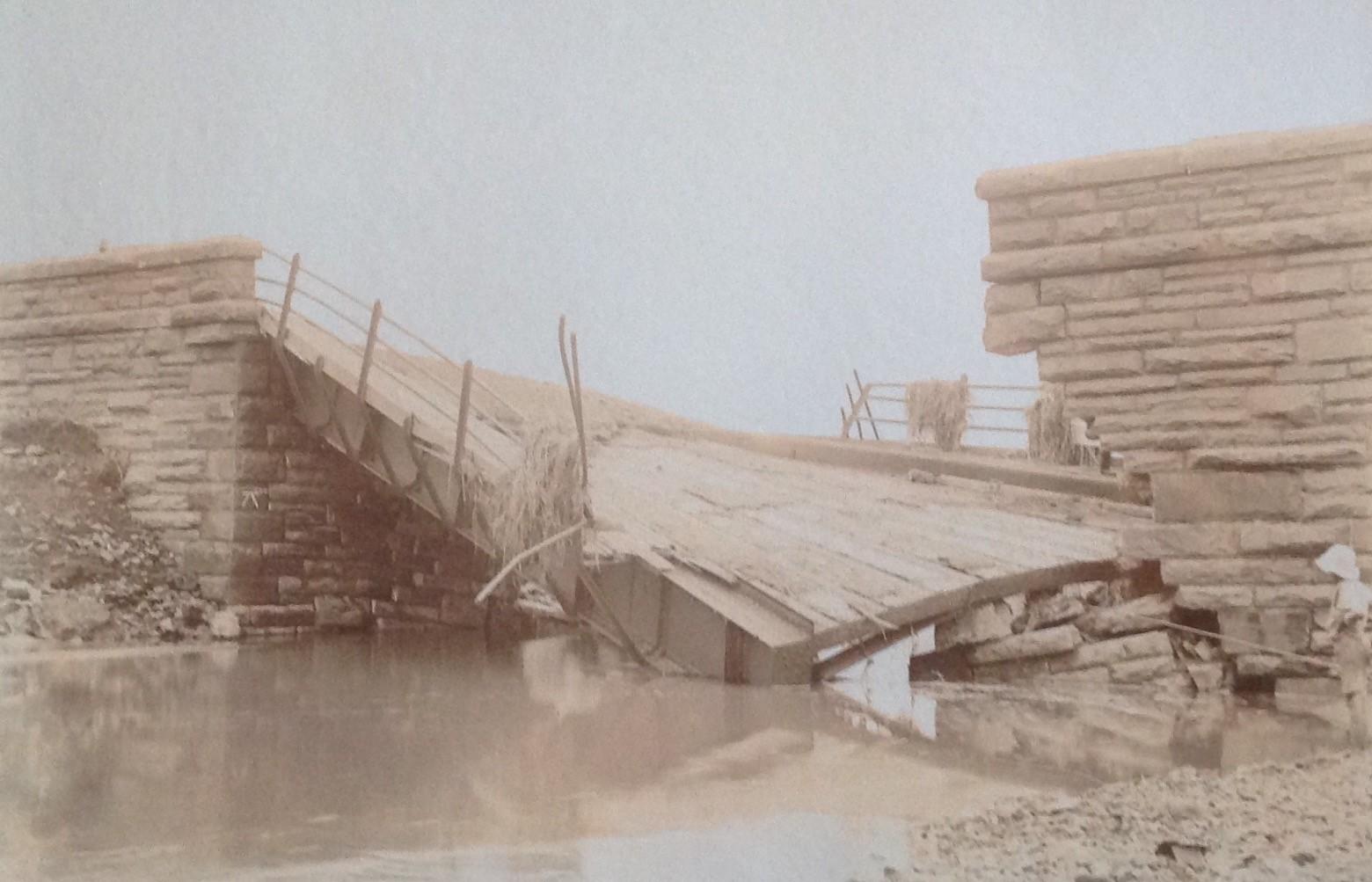 An early South African Philaphotographologist - Frederick William Willis | The Heritage Portal